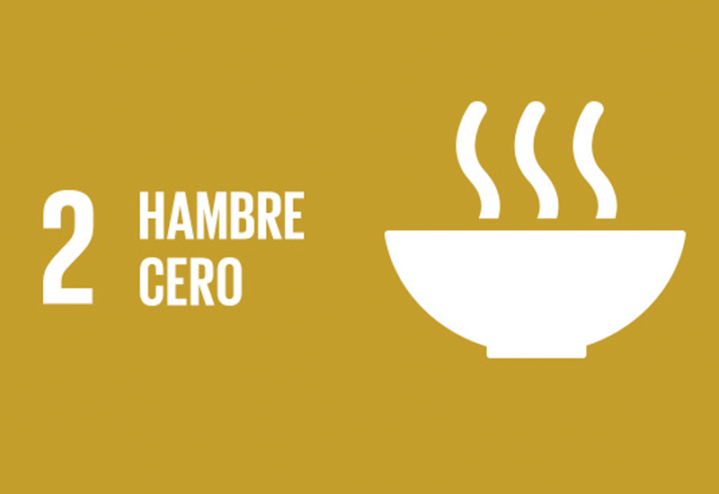 Objetivo De Desarrollo Sostenible 2 Cero Hambre Cuéntame Del Unicel